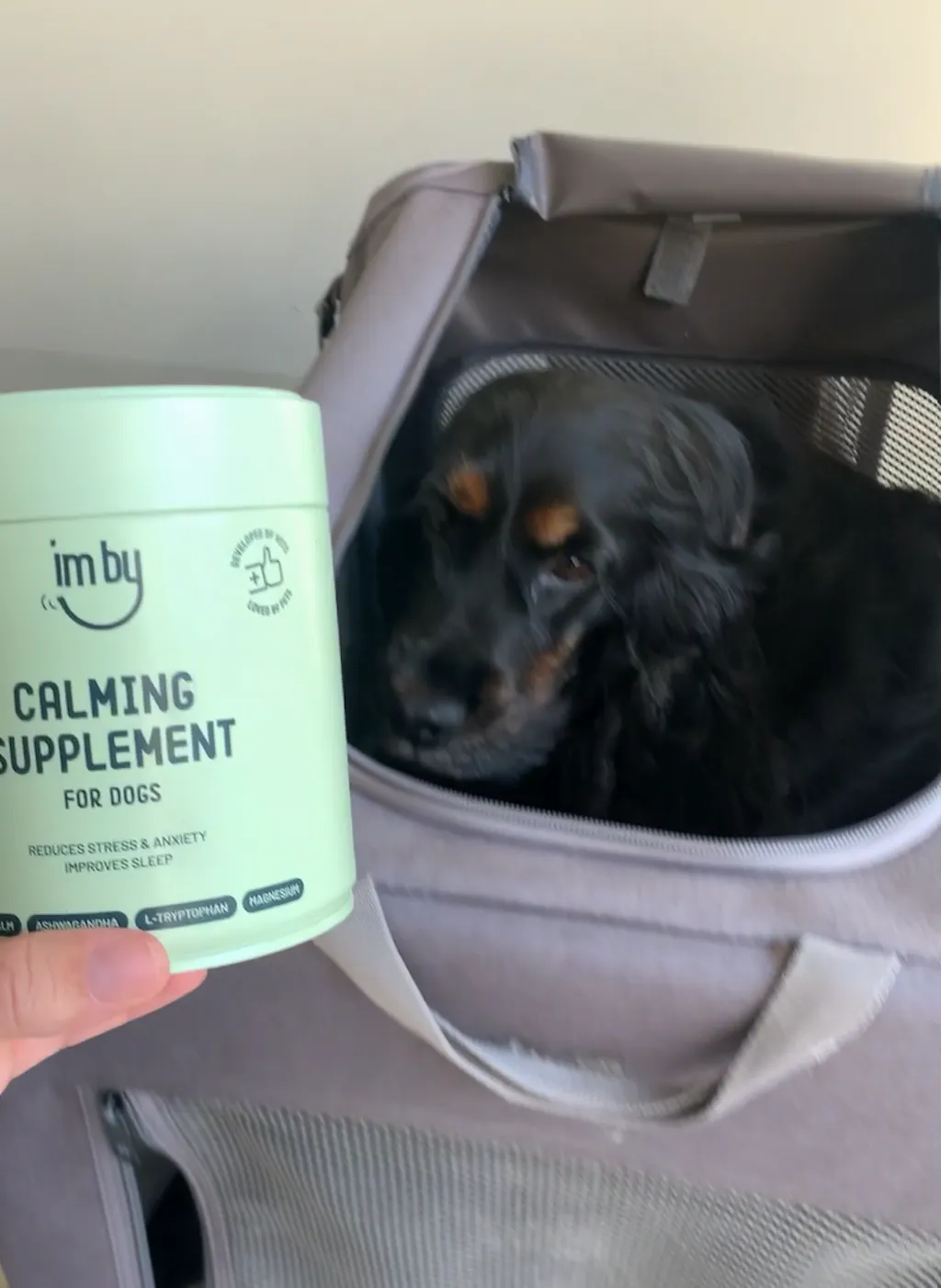 Hond kalmeren met natuurlijk supplement | Stress & angst reductie