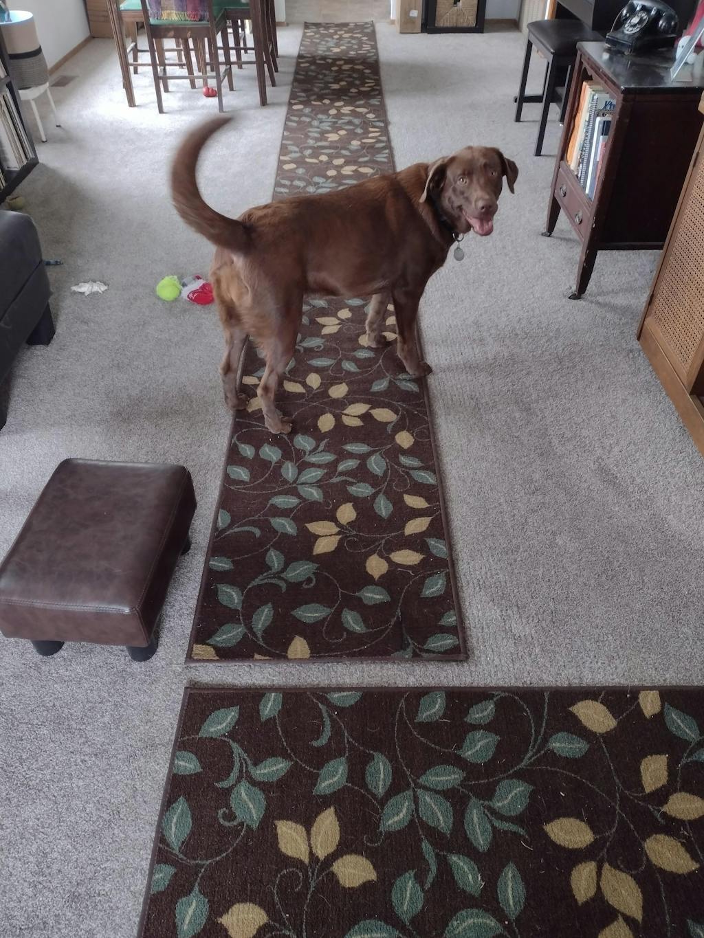 Tacky Pad for Rugs over Carpet – Incredible Rugs and Decor