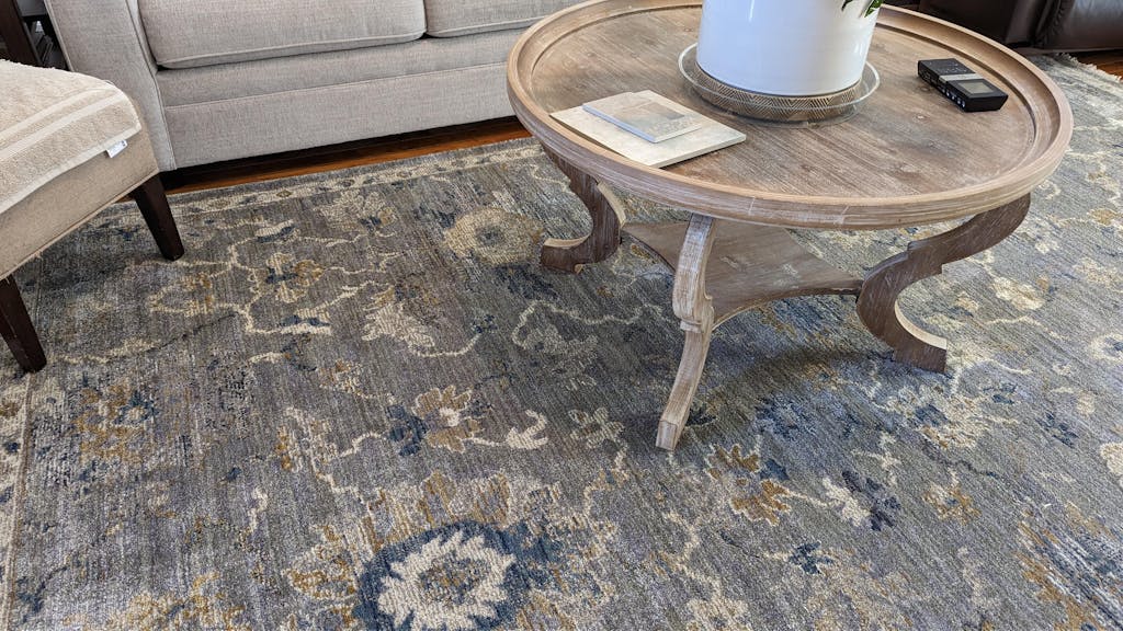 Loloi Giada GIA-03 Sage / Gold Area Rug – Incredible Rugs and Decor