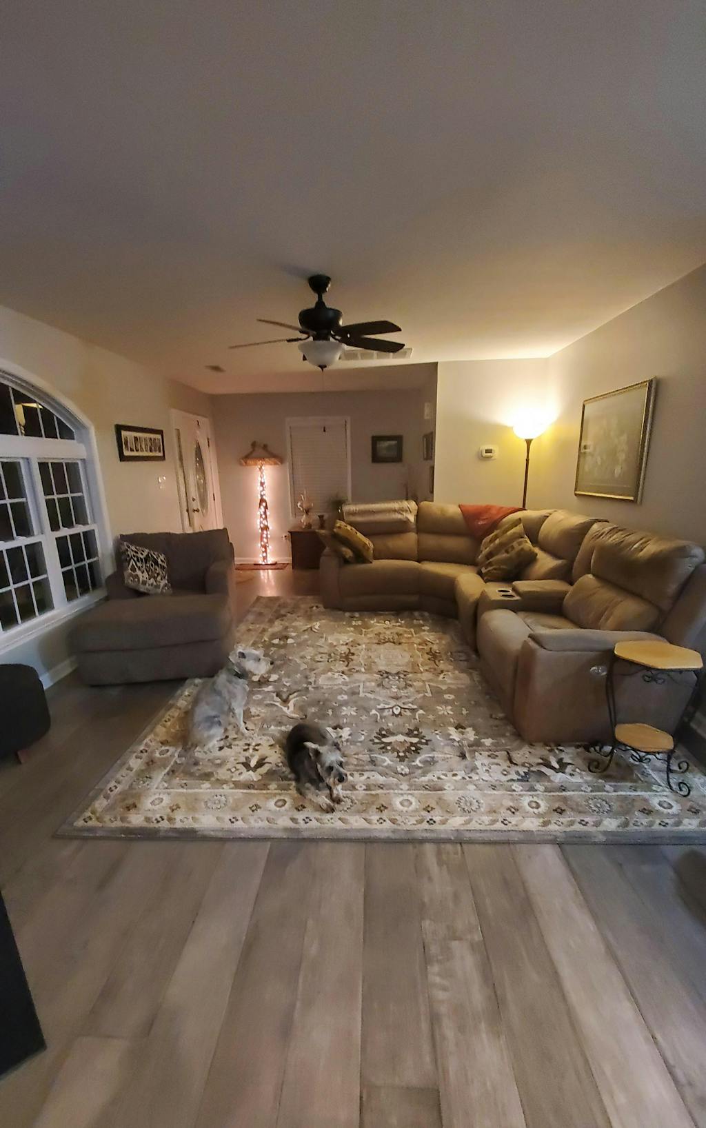 Karastan Euphoria Rhodes Ash Grey Area Rug – Incredible Rugs and Decor