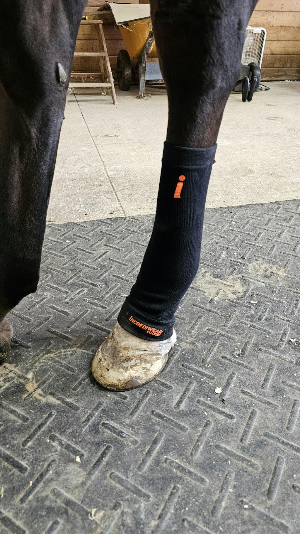 Incrediwear Equine Circulation Hoof Socks / Wearable anti-inflammatory