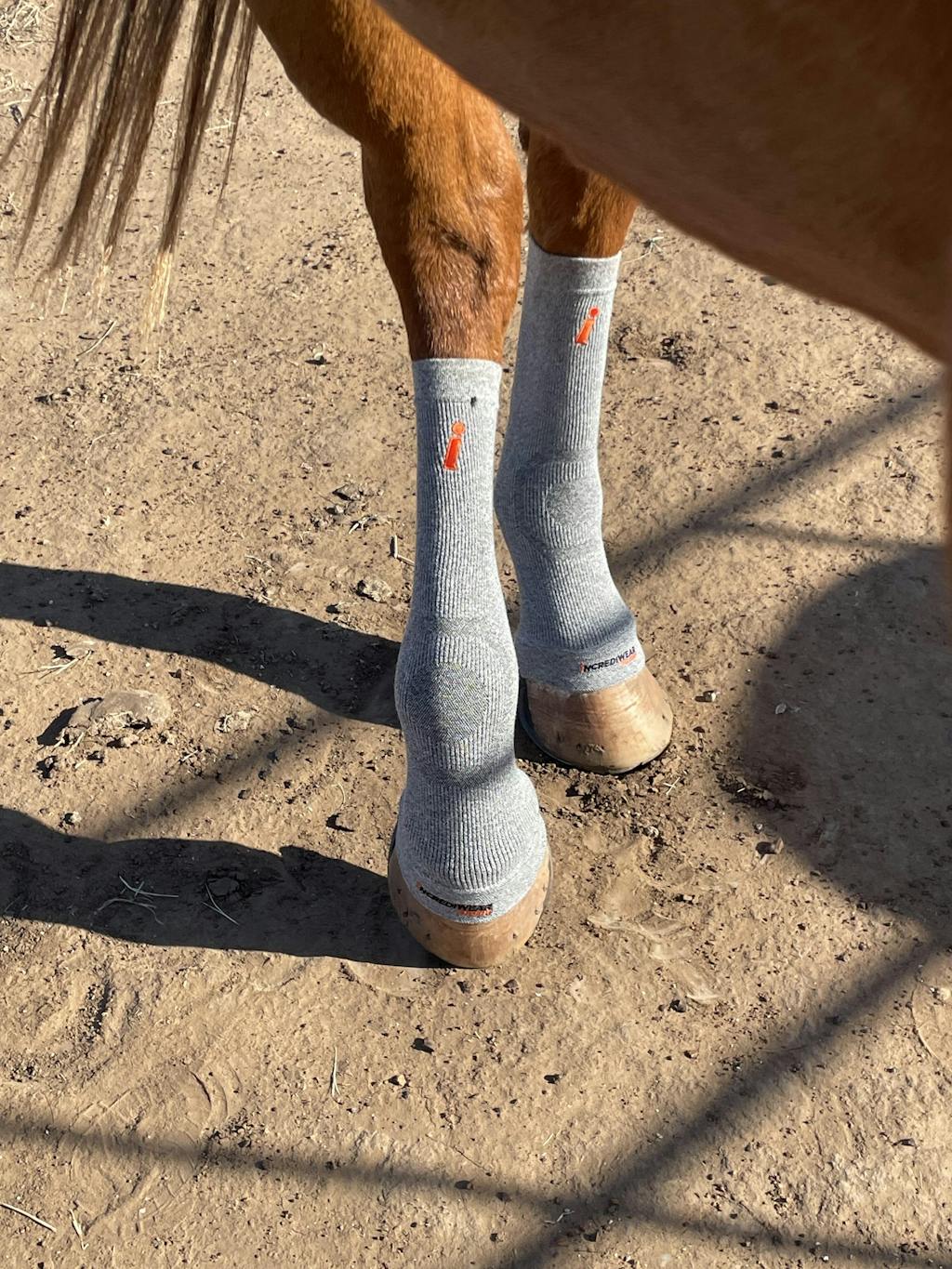 Incrediwear Equine Circulation Hoof Socks / Wearable anti-inflammatory