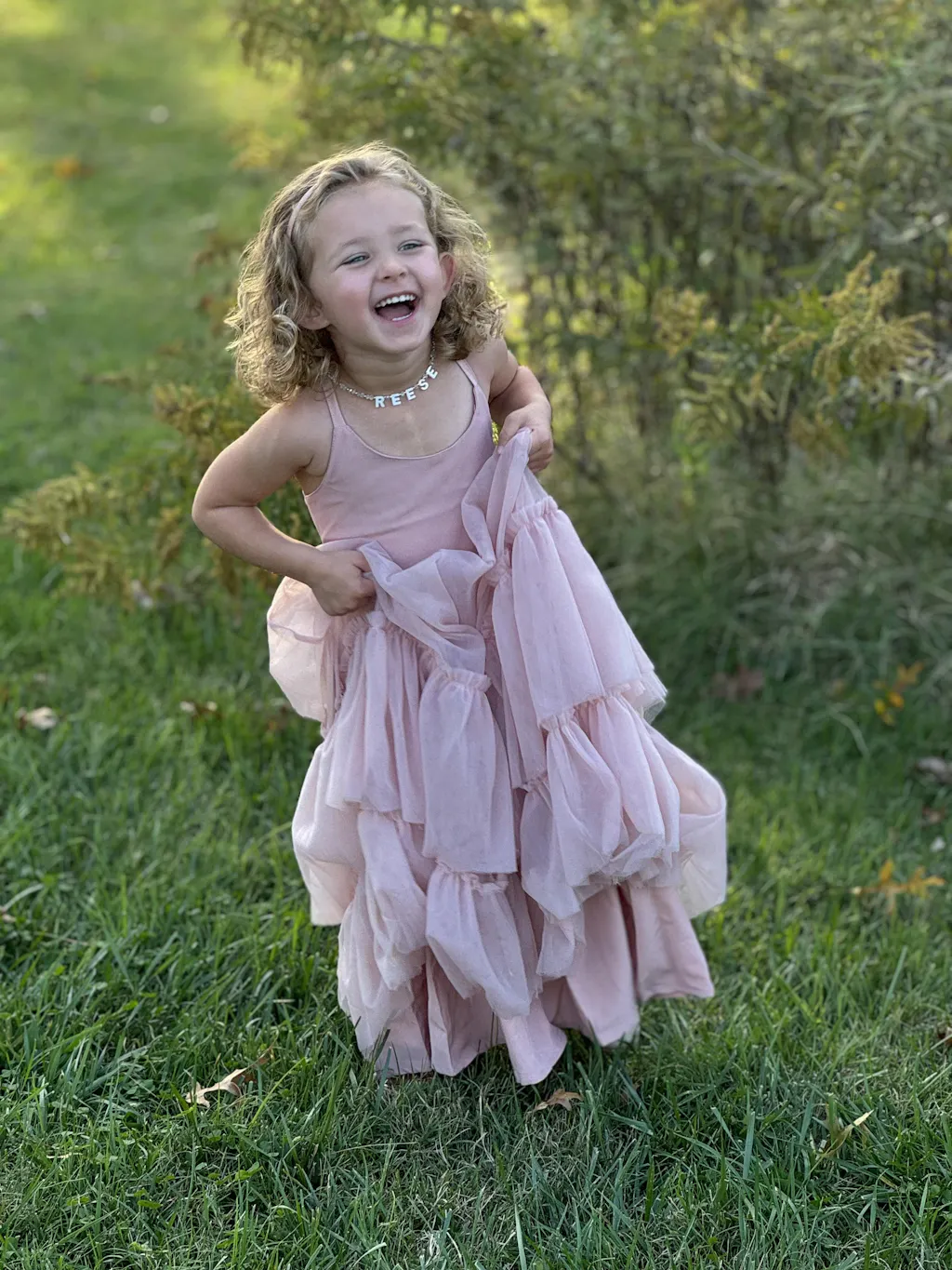 Wendy Dress (mocha tulle) – INDIE BLUE