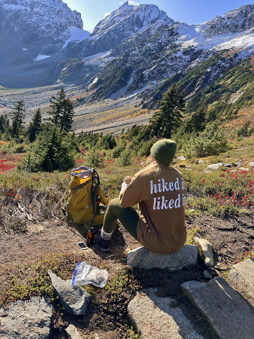 🥾Brown Hiked It Liked it Tee
