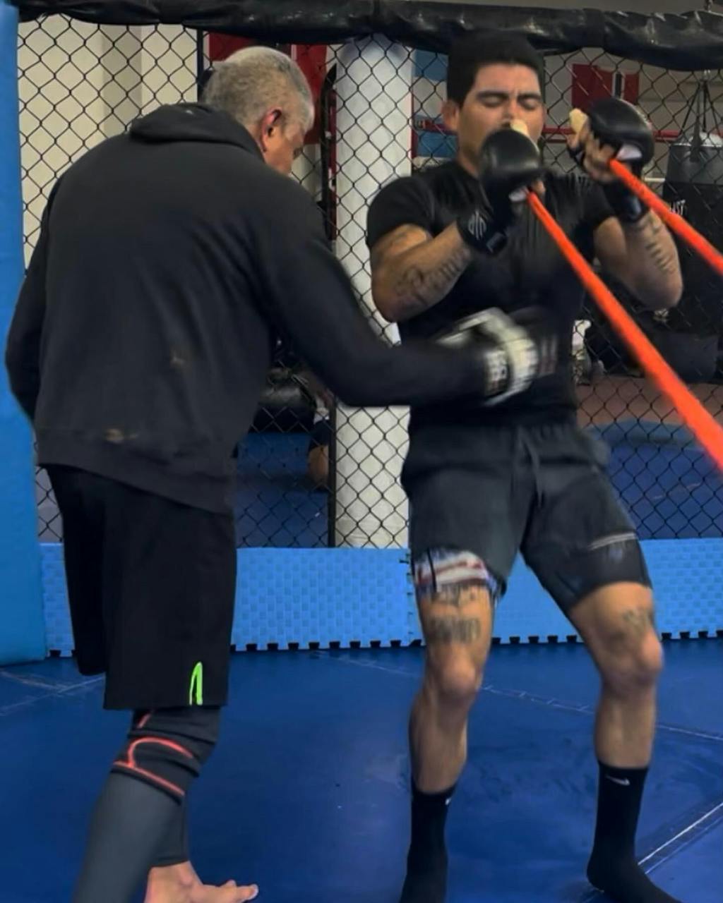 Inertia Wave® STRONG Battle Ropes Alternative