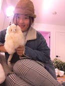 INKARI - Alpaca Products & Gifts