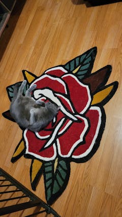 Unique Artistic Rugs - Bold Designs for Your Home – Inked Rugs