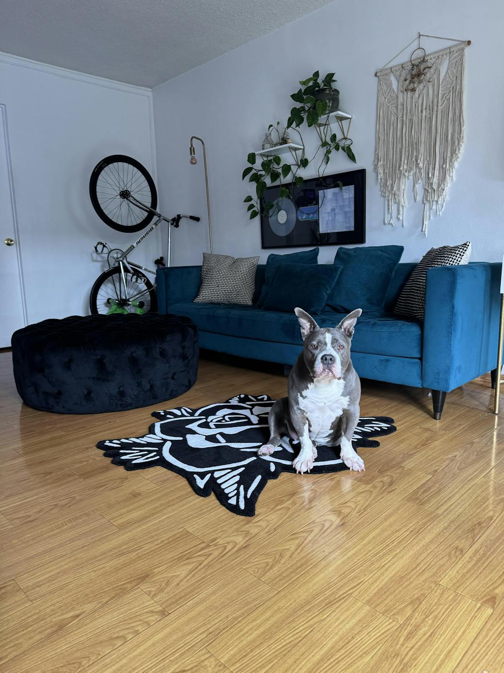 Unique Artistic Rugs - Bold Designs for Your Home – Inked Rugs