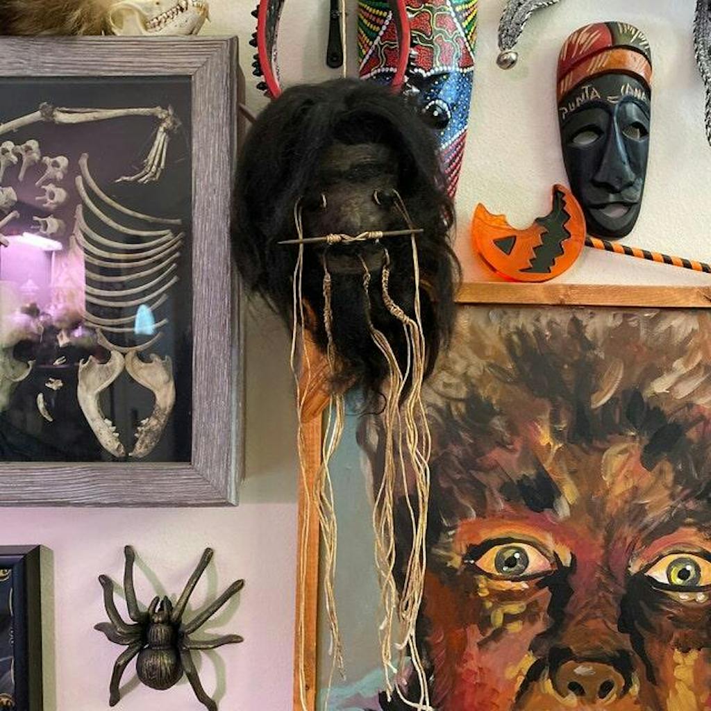 Shrunken Head, Real Leather and Hair, 5 Inch - Insects In Resin