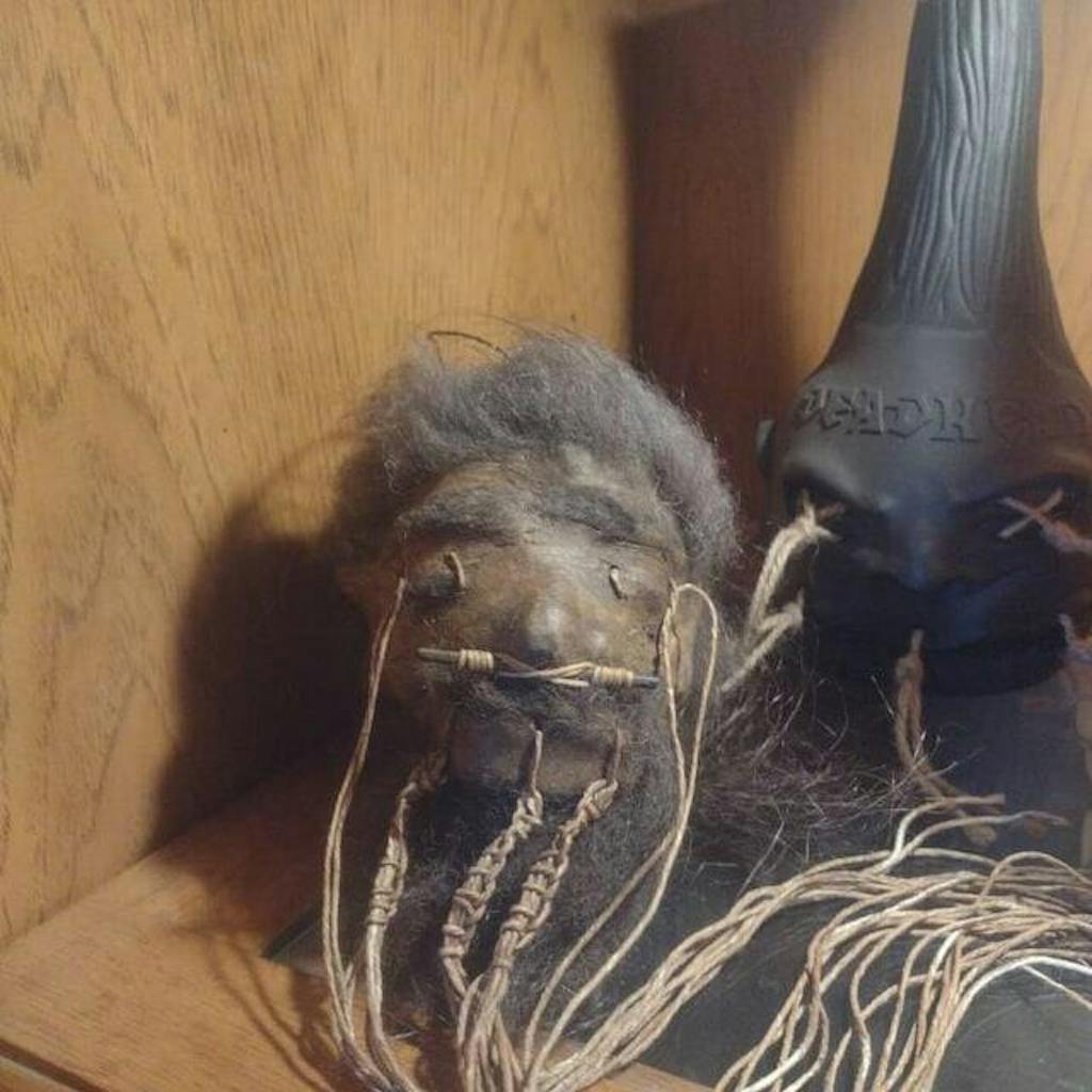 Shrunken Head, Real Leather and Hair, 5 Inch - Insects In Resin