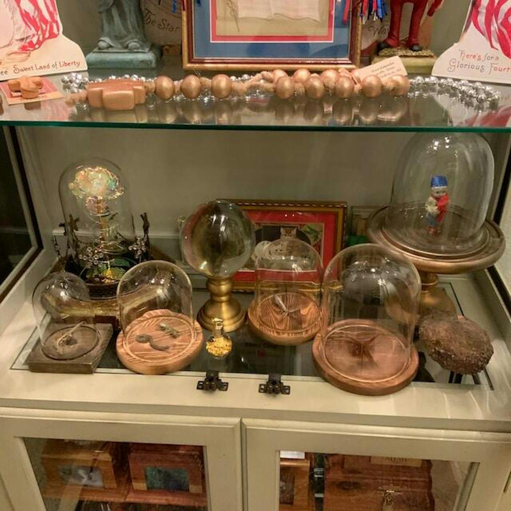 Glass Display Dome, Glass and Wood Cloche - Insects In Resin