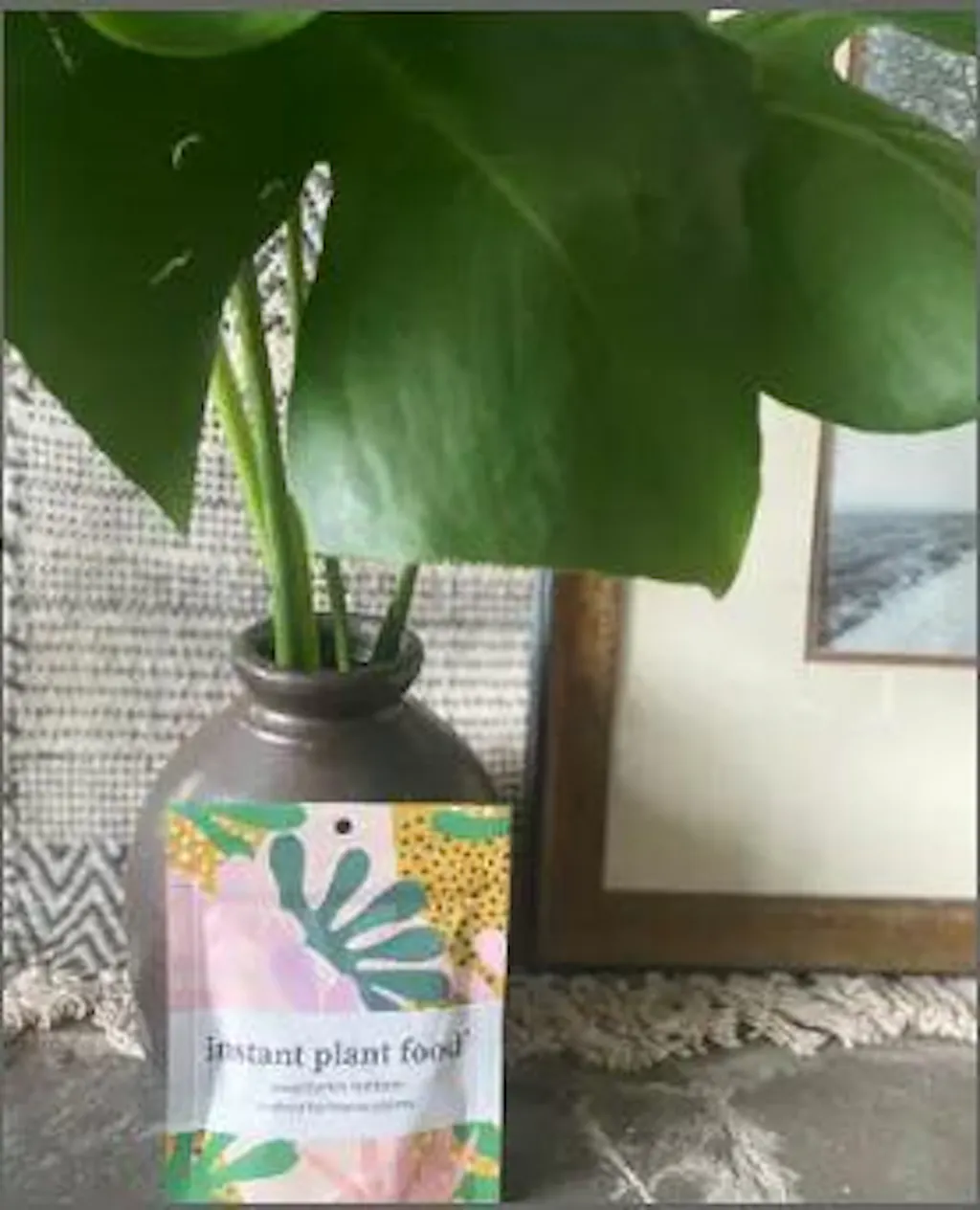 Wholesale Houseplant Fertilizer | (25) instant® plant food (4 Tablets ...