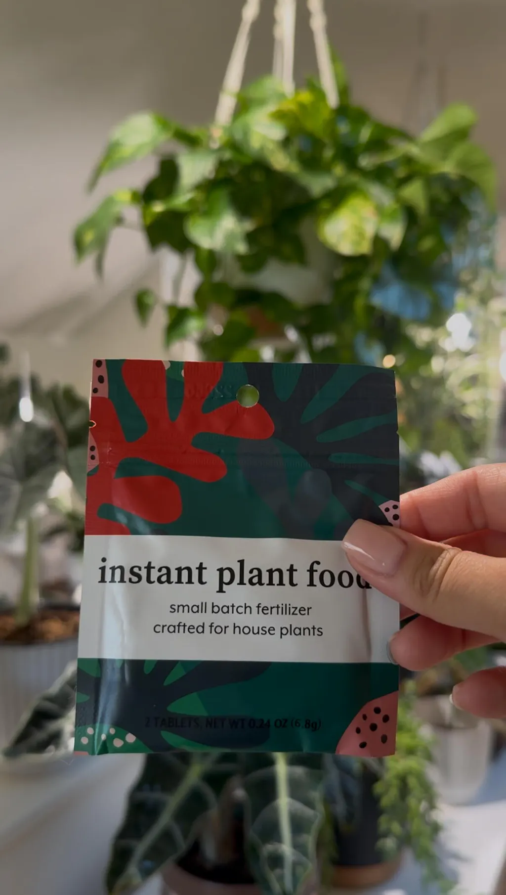 Houseplant Fertilizer | Plant Food | instant® Plant Food (4 Tablets ...