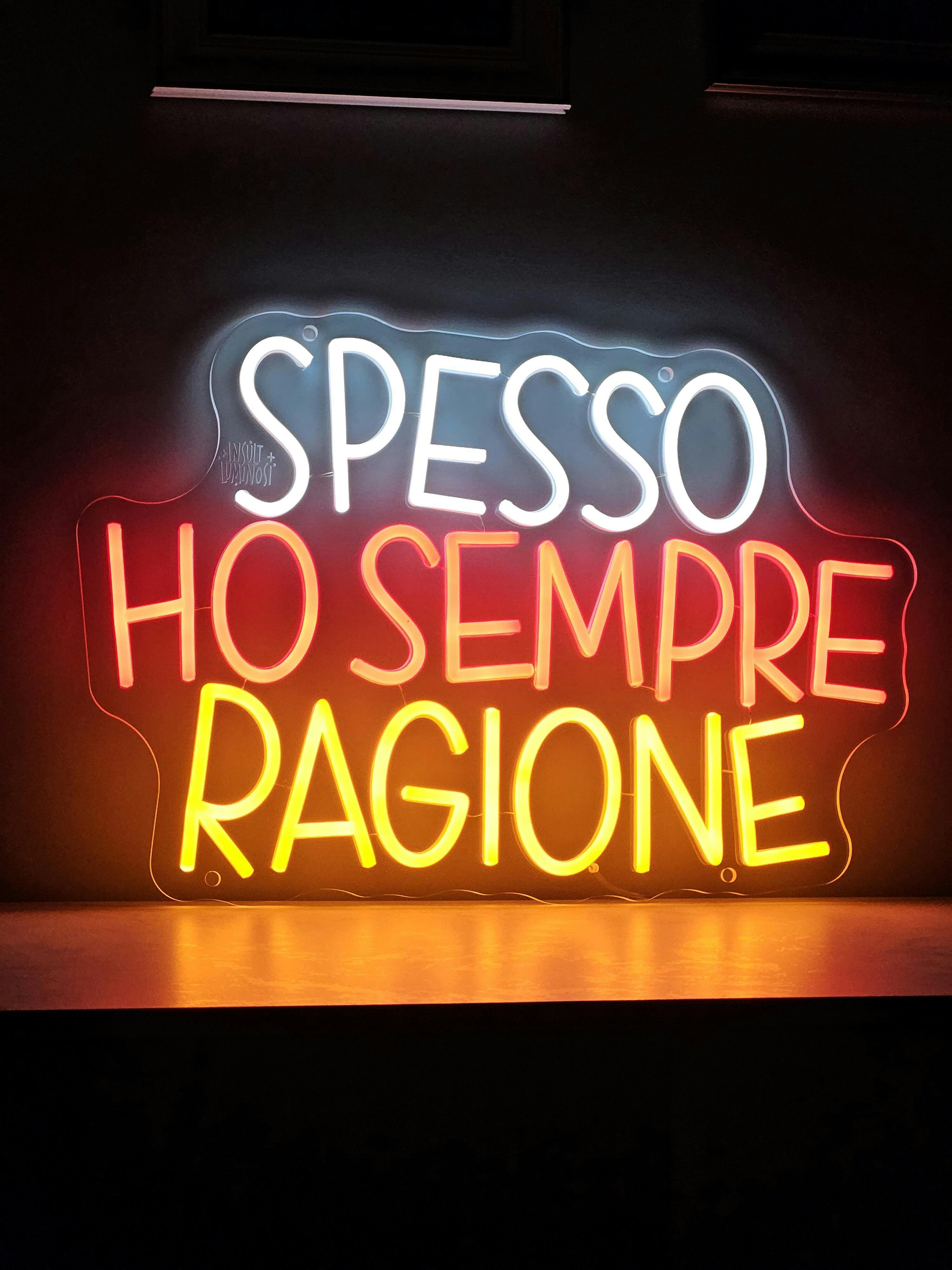 SPESSO HO SEMPRE RAGIONE – Insulti Luminosi