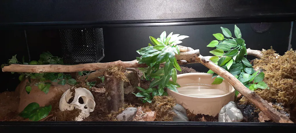 White Python LED Daylight White