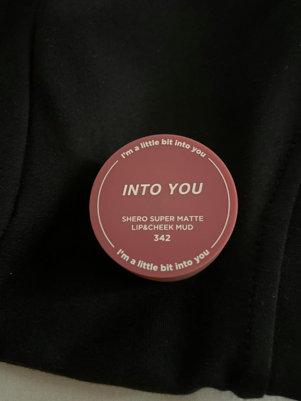 INTO YOU Canned Lip Mud - Large Capacity, Full Coverage, Long-Lasting ...