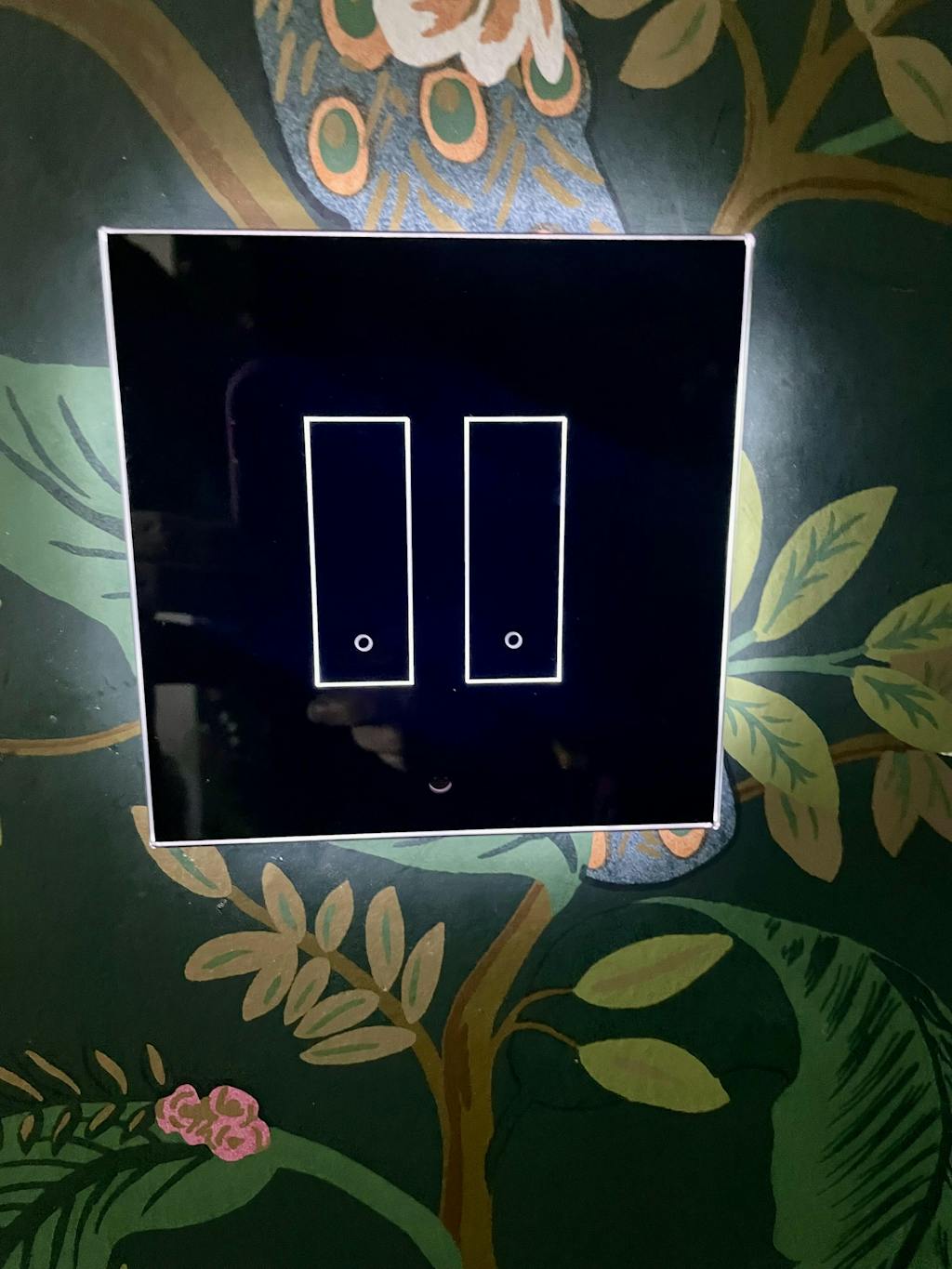 iotty - Smart Wifi Modern Light Switch Controller with Dimming