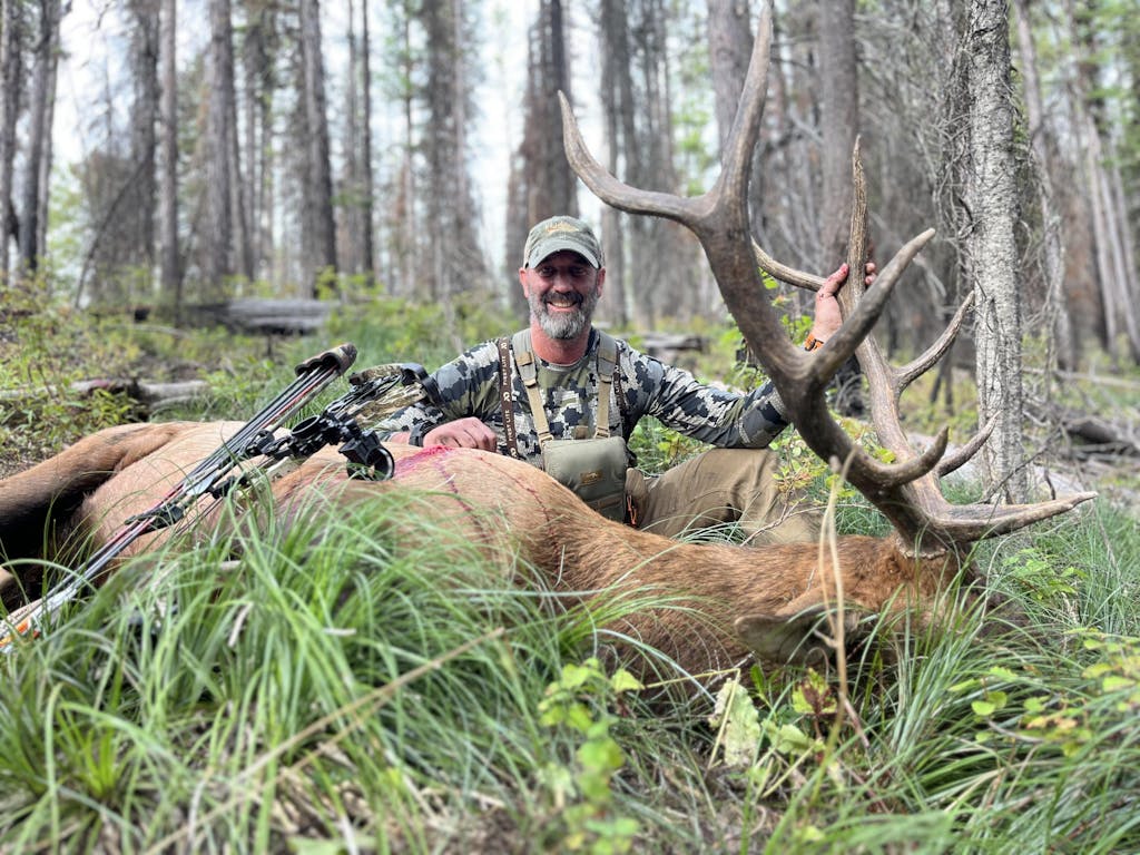 Impact Collars – Iron Will Outfitters