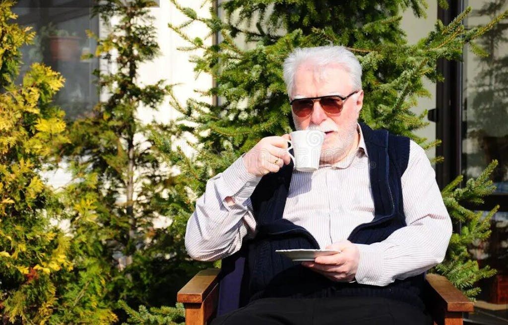 Oi Ocha Unsweetened Hojicha Roasted Green Tea – ITO EN