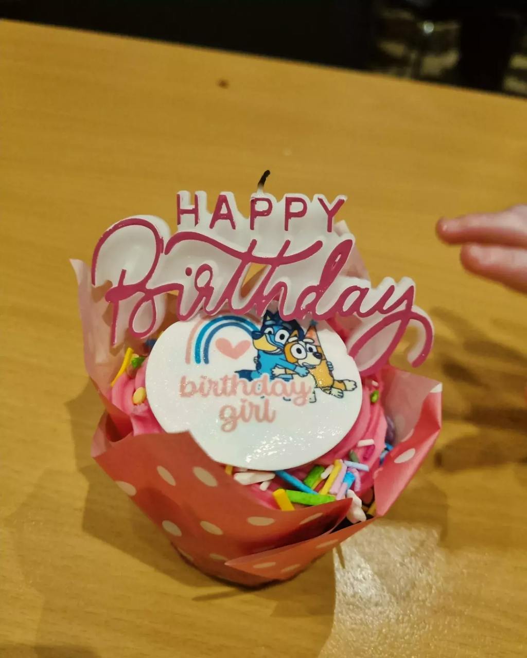 BLUEY Girl Edible Cupcake Toppers - Itty Bitty Cake Toppers