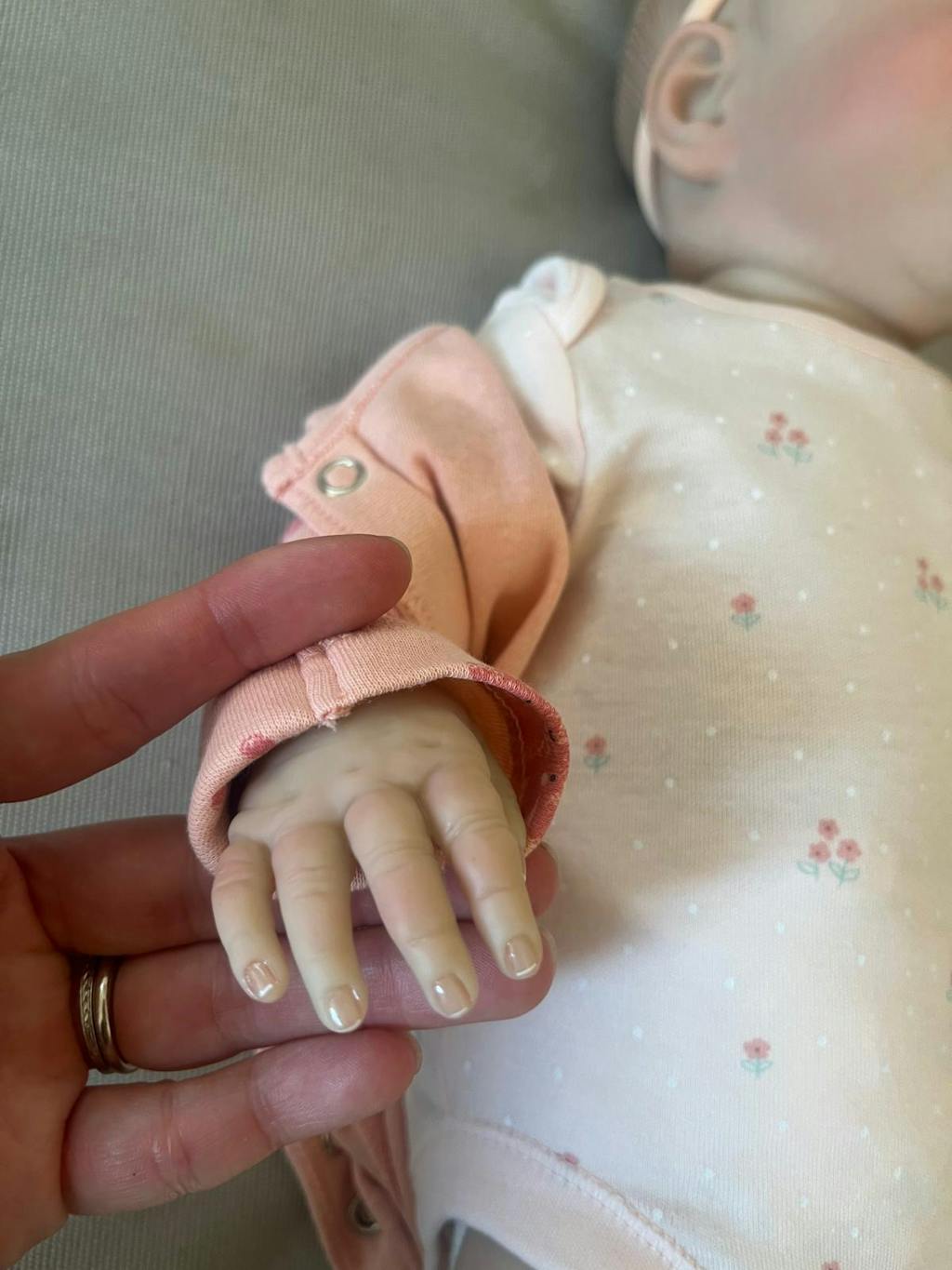 Realistic Silicone Animals & Pets for Reborn Dolls | Ivy Reborns