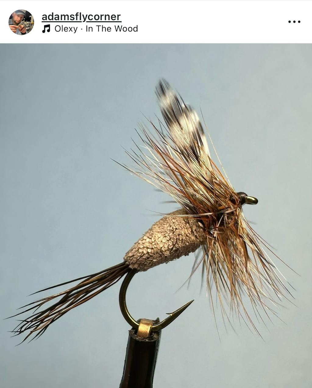 Razor Holder for Trimming | Tools | Stonfo | J Stockard