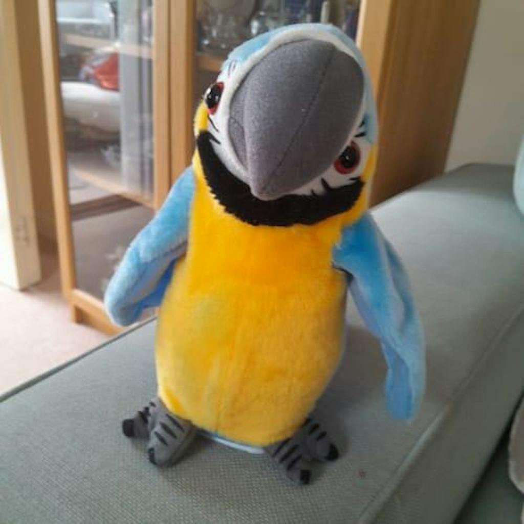 ChatterBird – Kiddie Corner