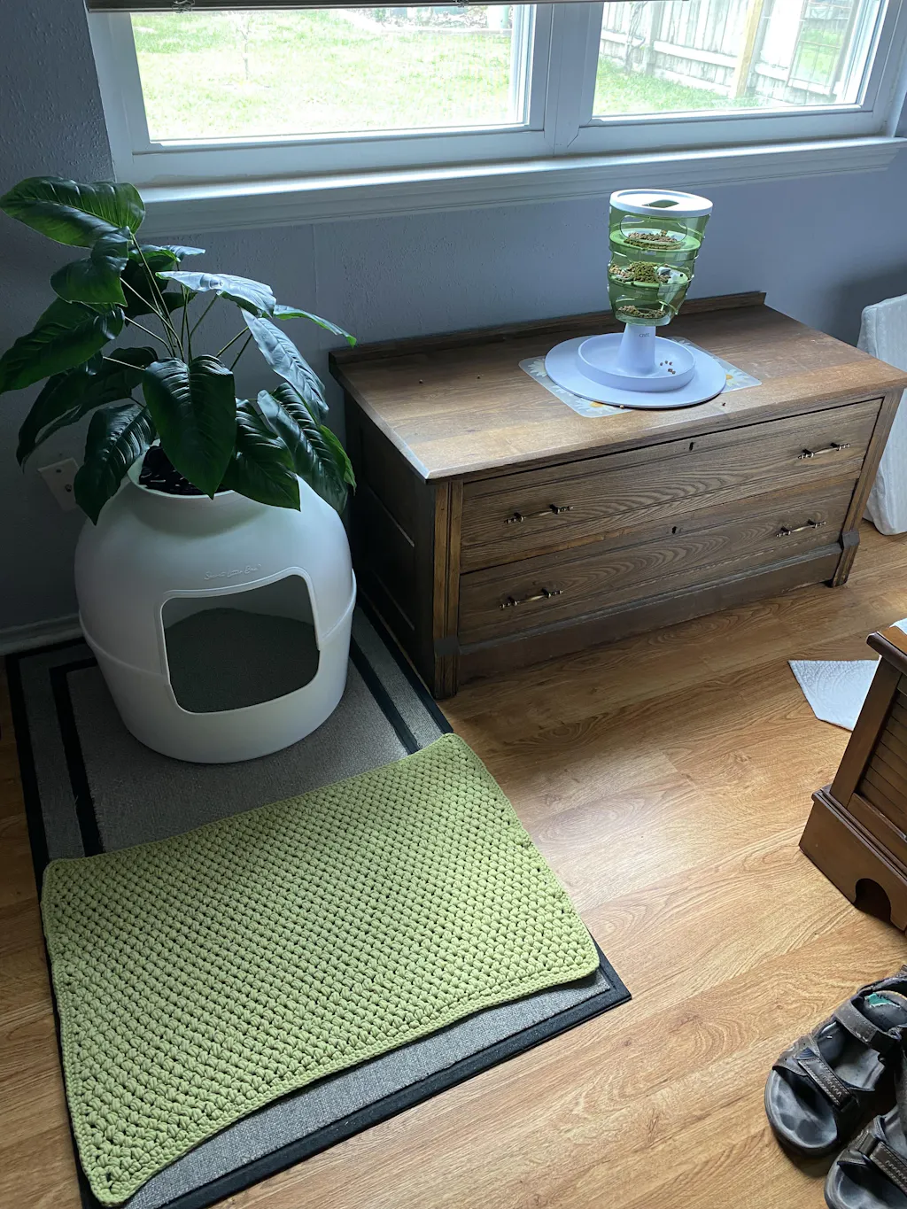 Catification: Designing a Happy and Stylish Home for Your Cat (and You ...