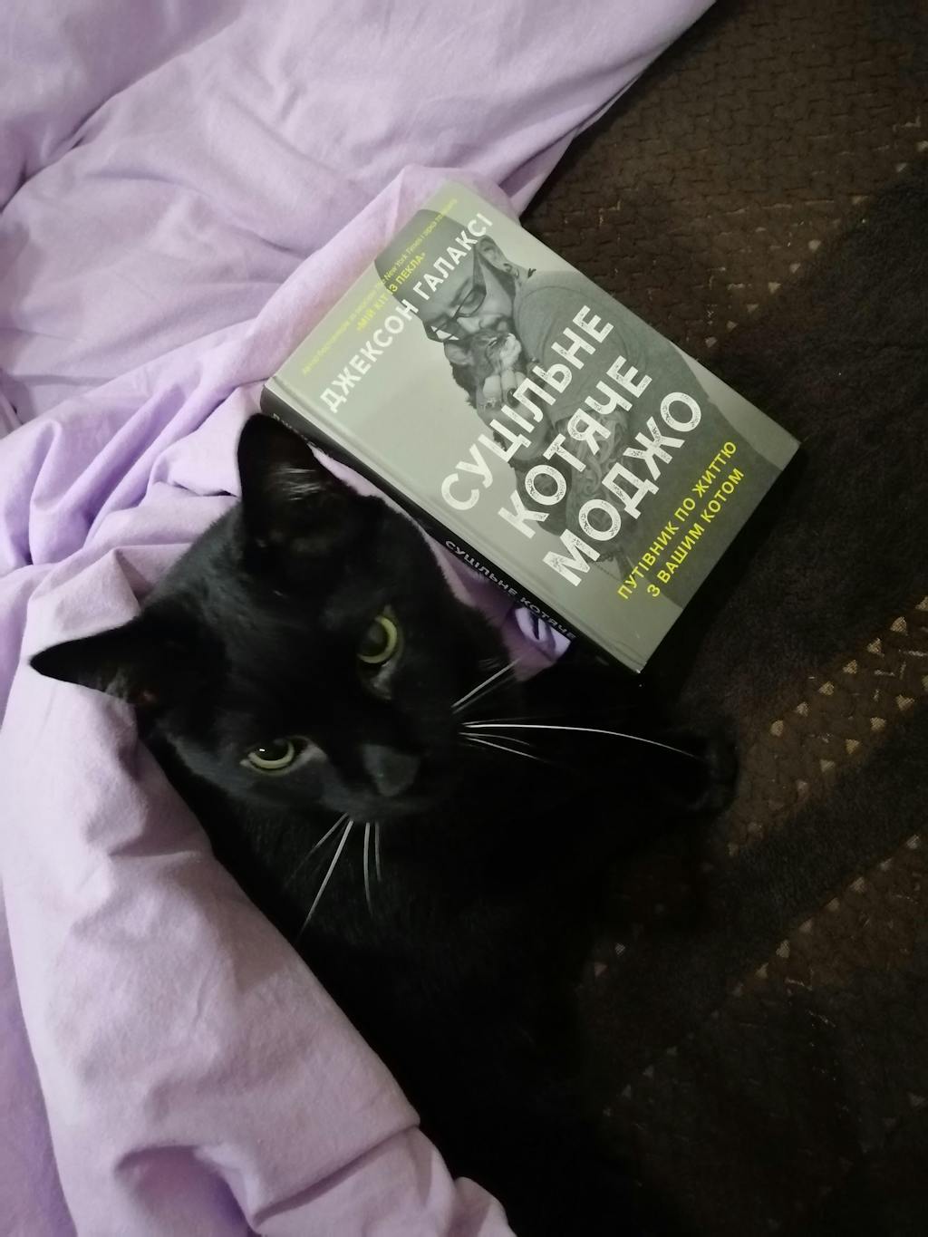 Total Cat Mojo: Ultimate Guide to Life with Your Cat By Jackson Galaxy