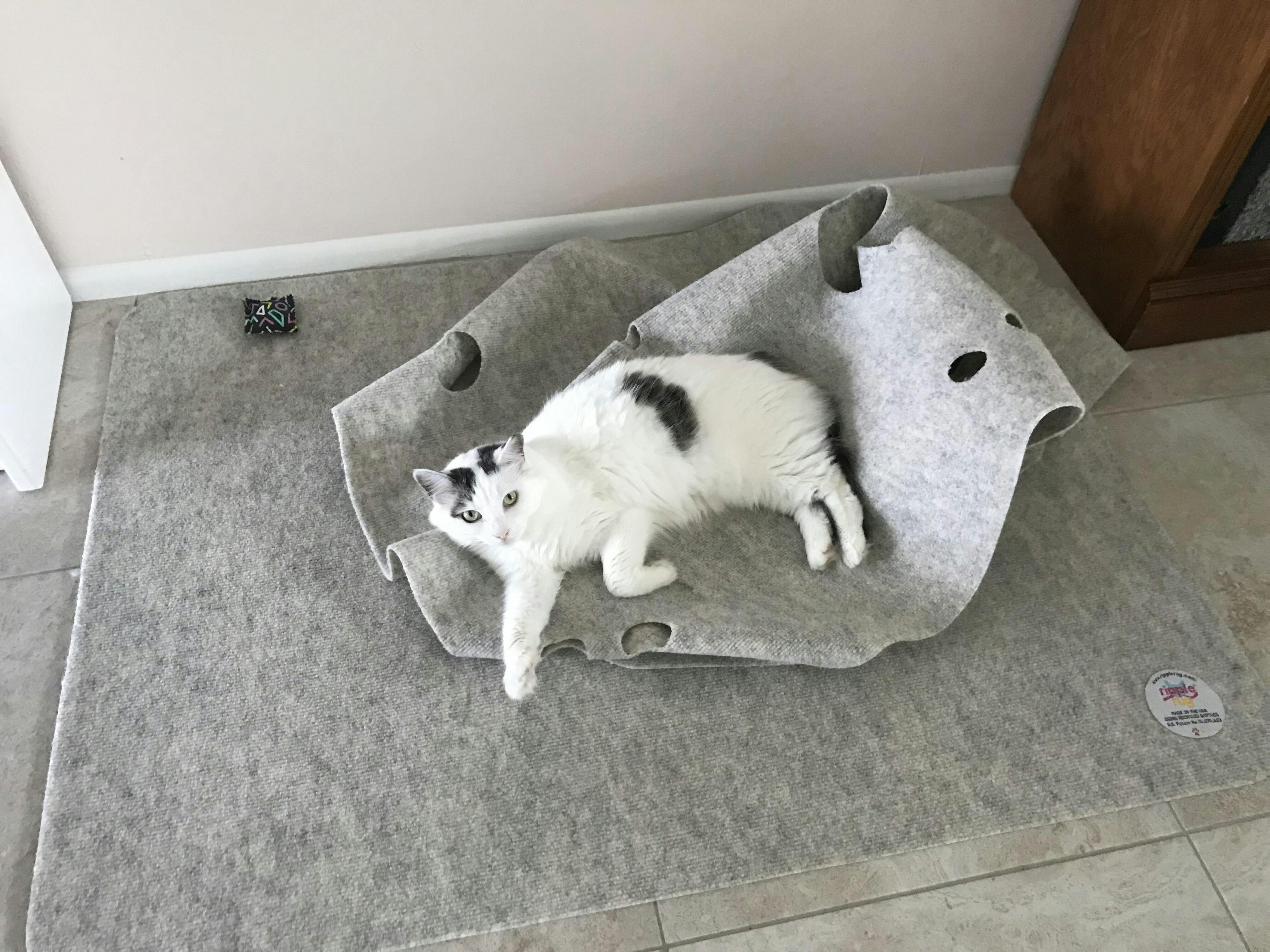 Ripple Rug Cat Activity Mat – Jackson Galaxy