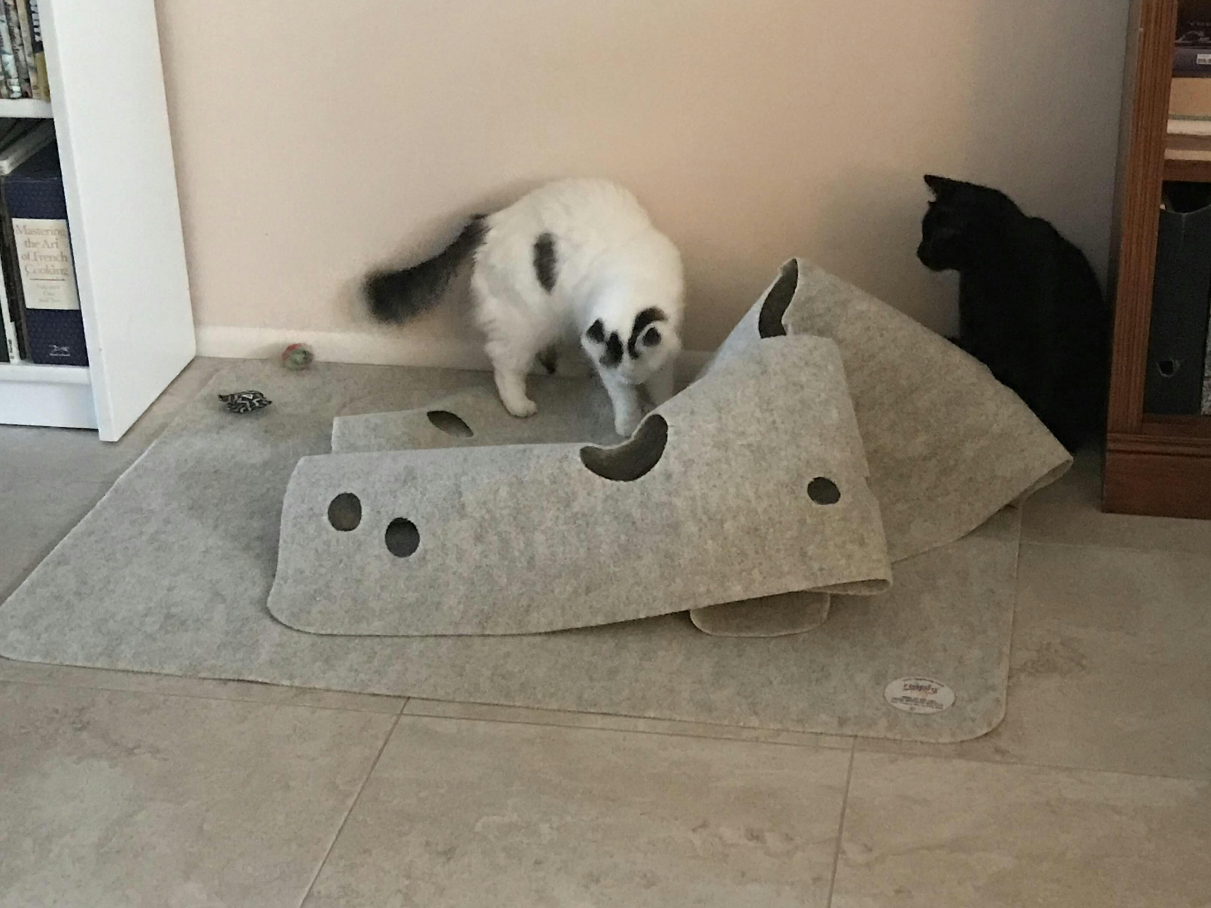 Ripple Rug Cat Activity Mat – Jackson Galaxy