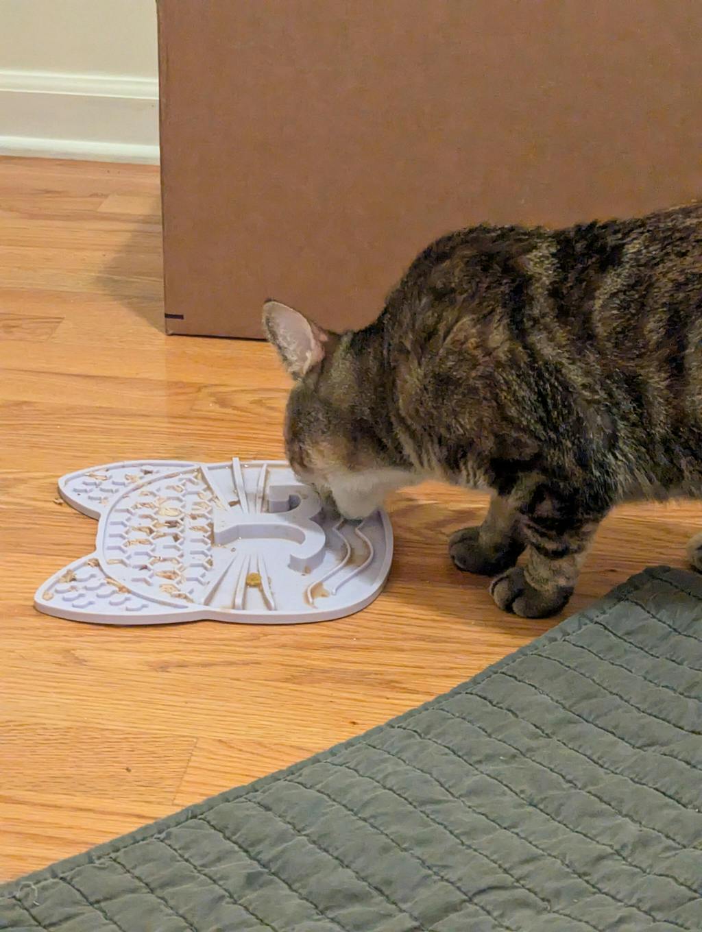 Mmmeow Mat - Slow Feeding Interactive Puzzle Mat by Jackson Galaxy