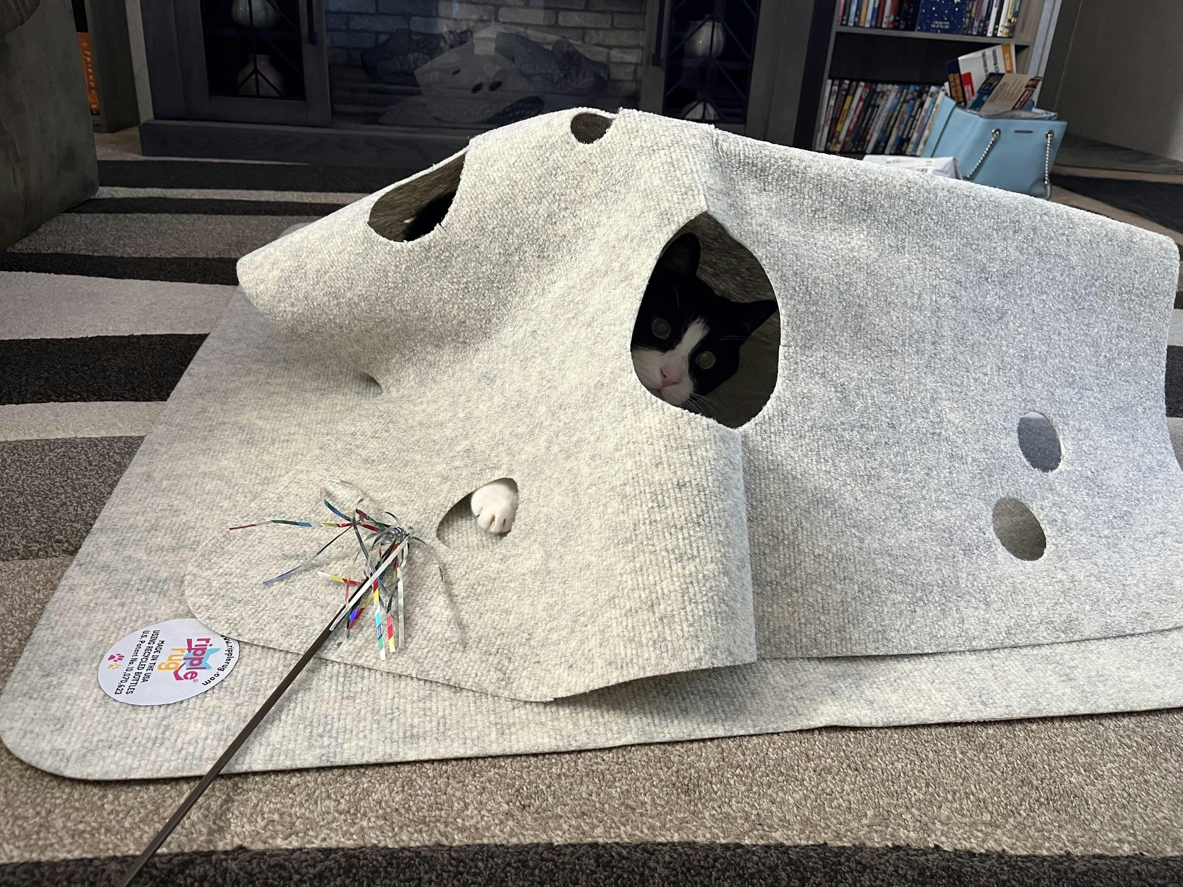 Ripple Rug Cat Activity Mat – Jackson Galaxy