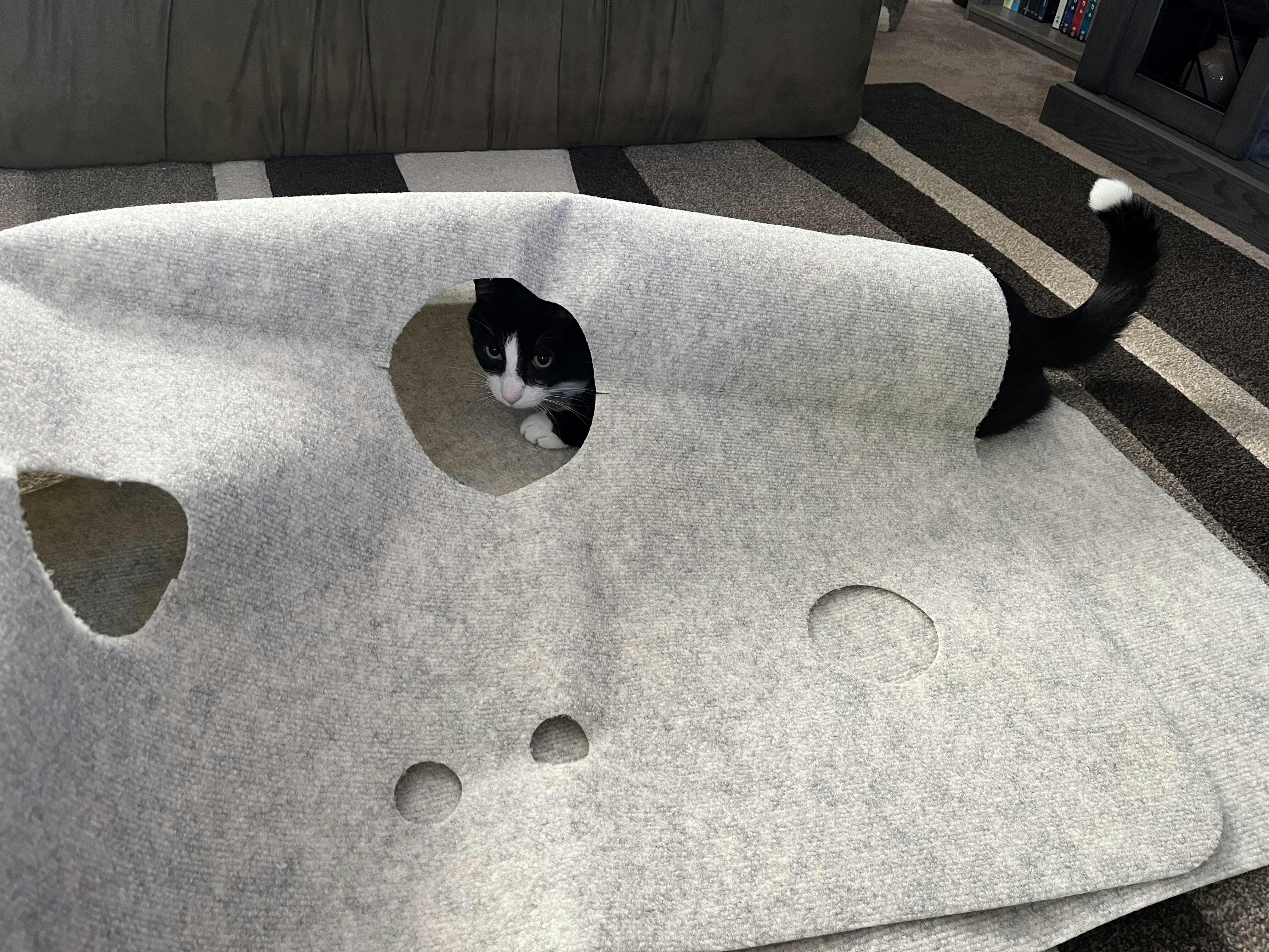 Ripple Rug Cat Activity Mat – Jackson Galaxy