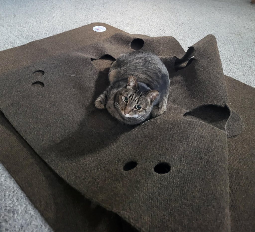 Ripple Rug Cat Activity Mat – Jackson Galaxy