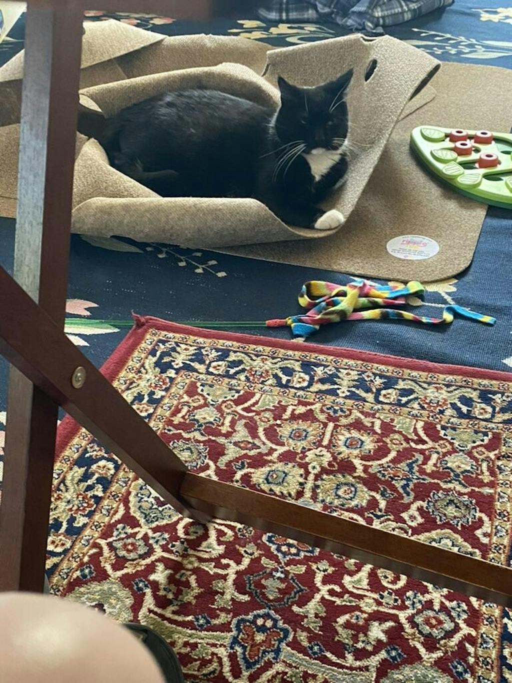 Ripple Rug Cat Activity Mat – Jackson Galaxy