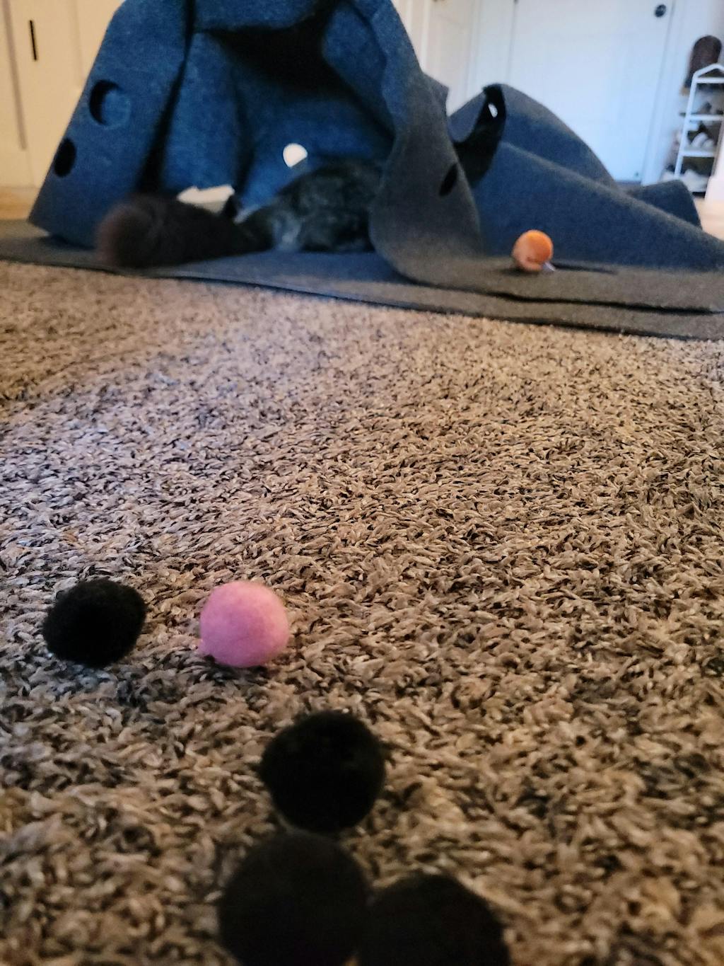 Ripple Rug Cat Activity Mat – Jackson Galaxy