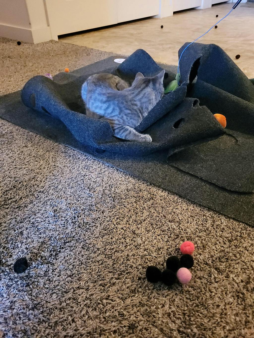 Ripple Rug Cat Activity Mat – Jackson Galaxy