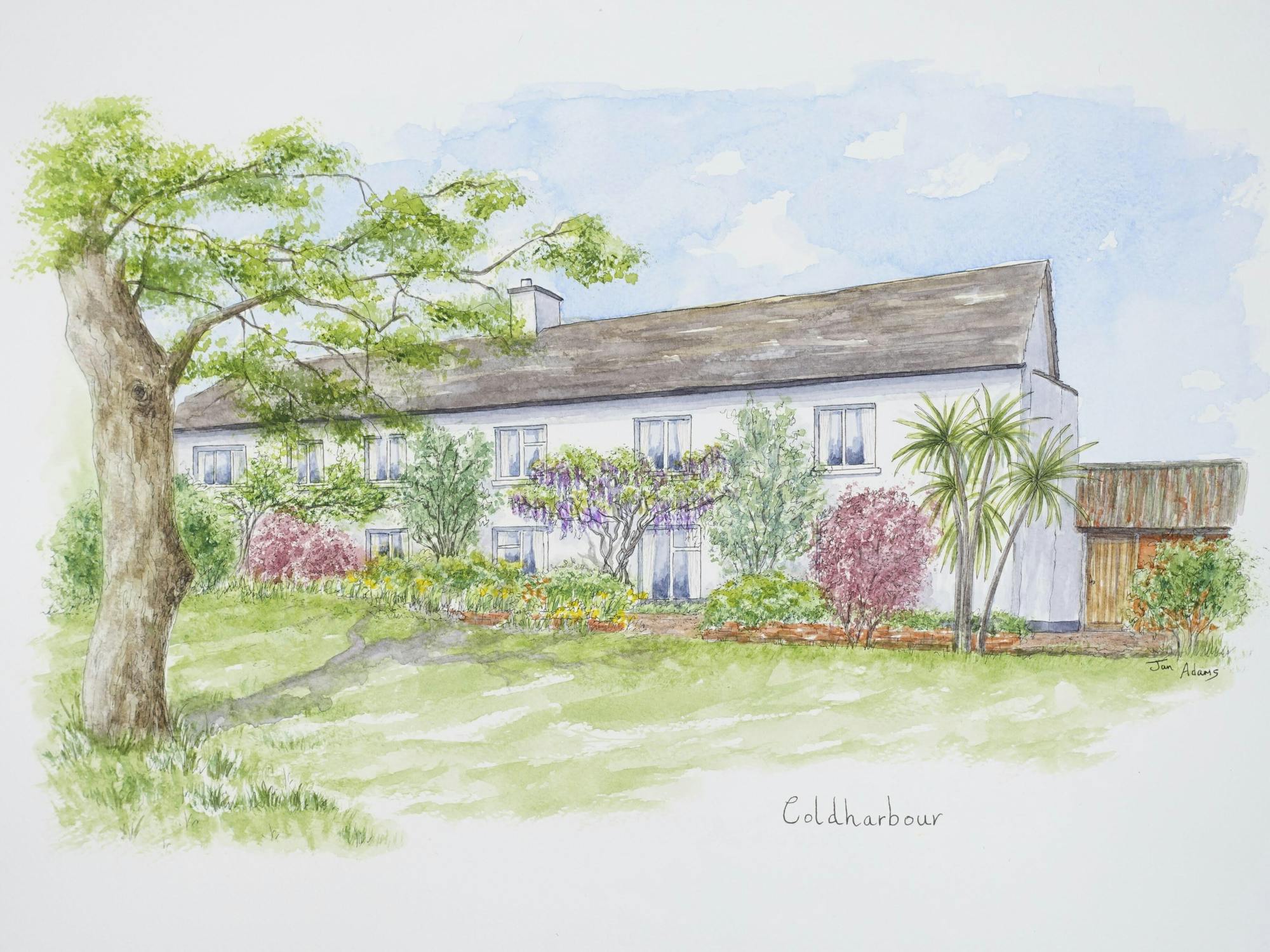 Jan Adams Art Studio