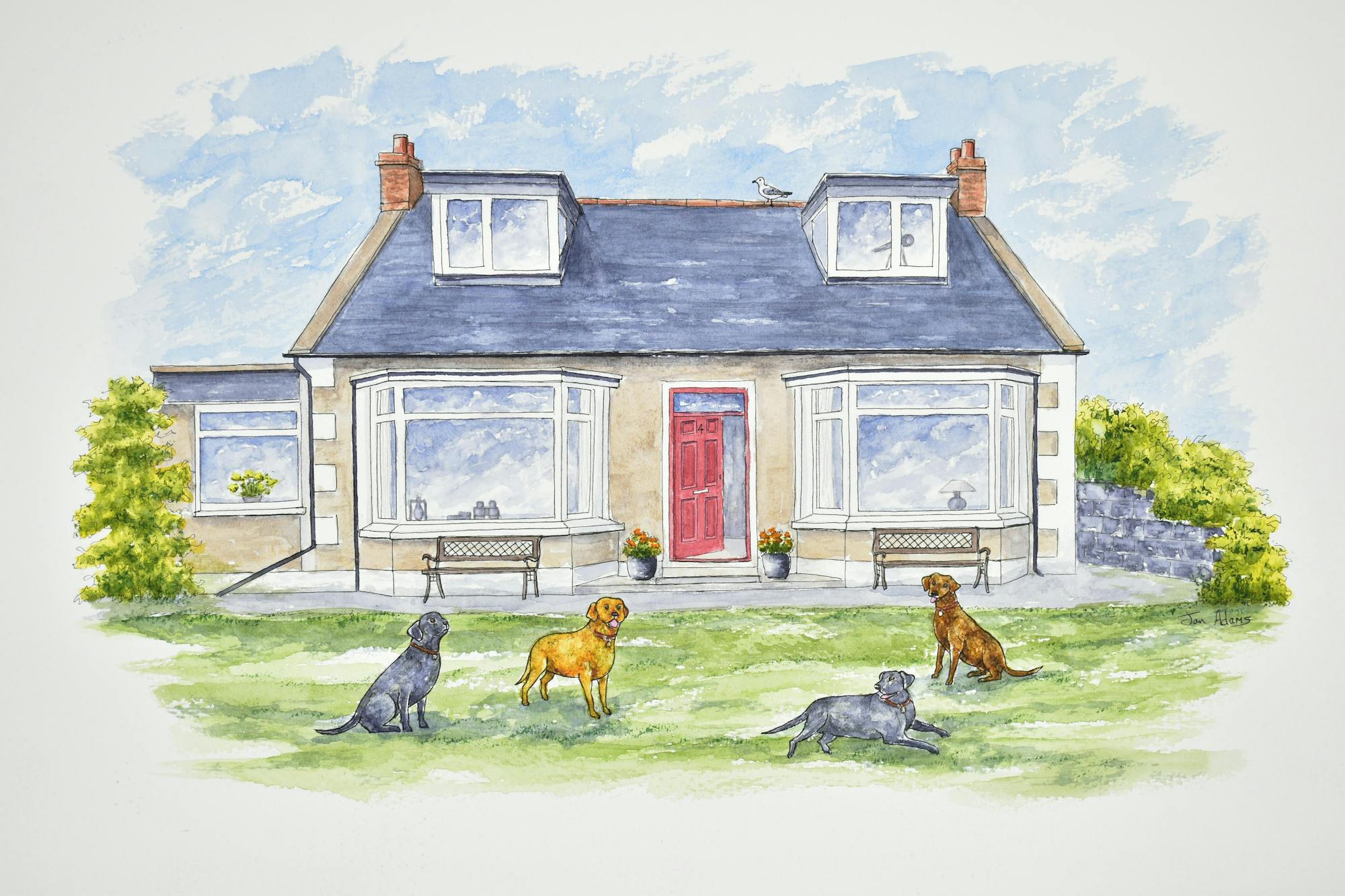 Jan Adams Art Studio