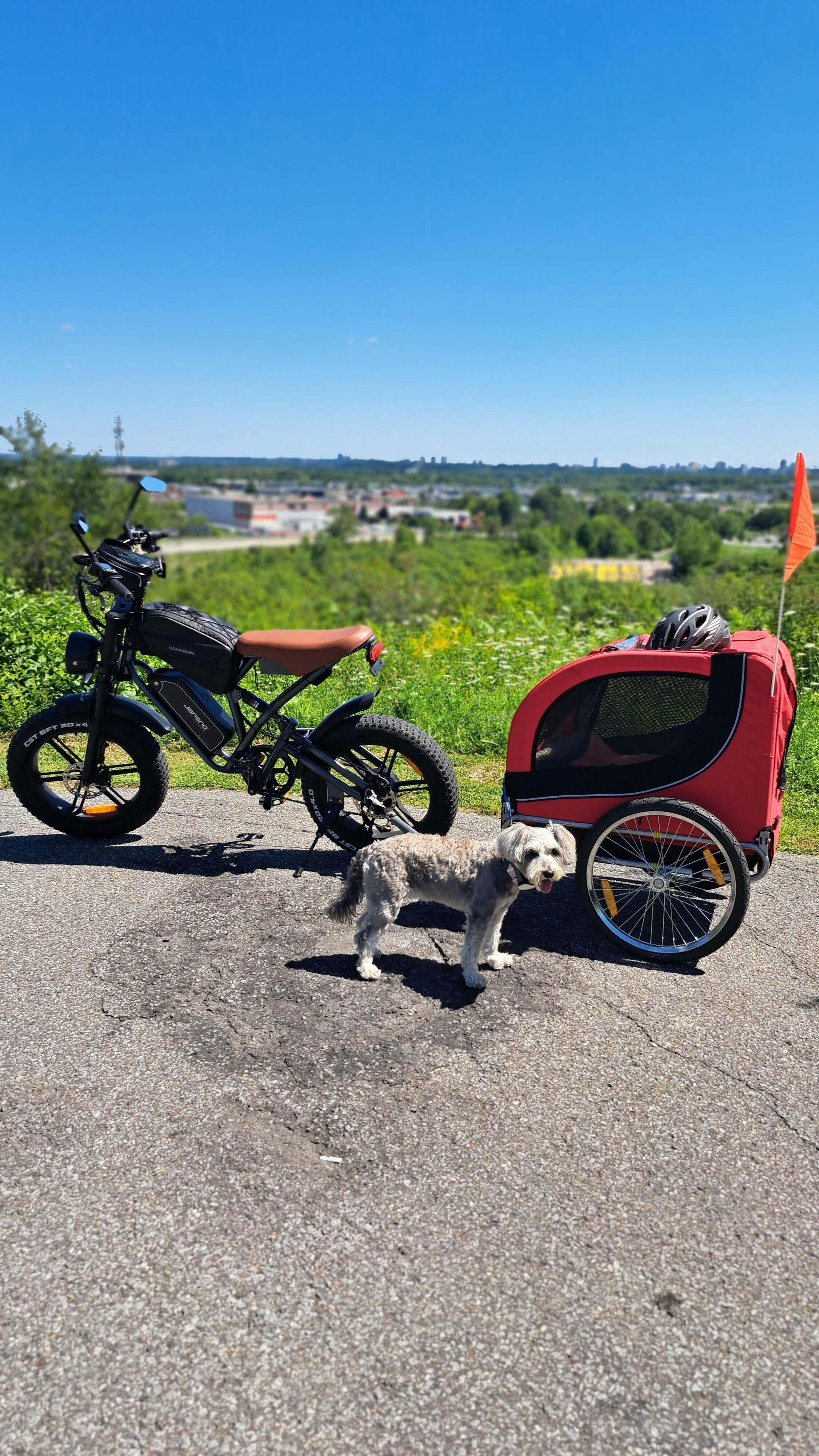 JANSNO X50 750W Electric Bike 20"x4.0 Fat Tire for Adults – Jansno ...