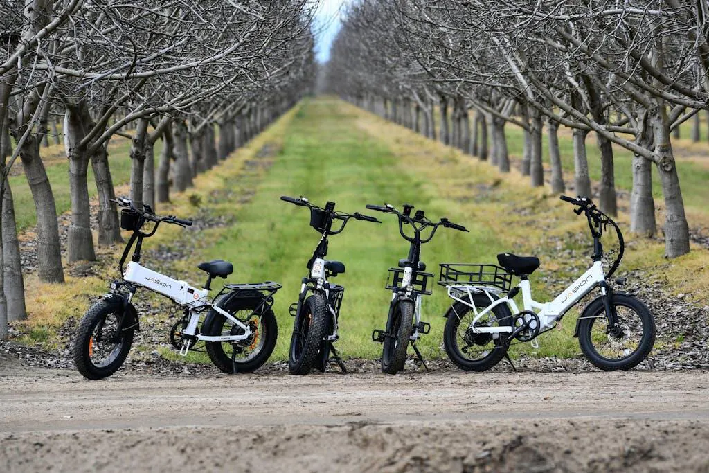 Jasion X-Hunter Folding Electric Bike | Full Suspension Fat Tire ...