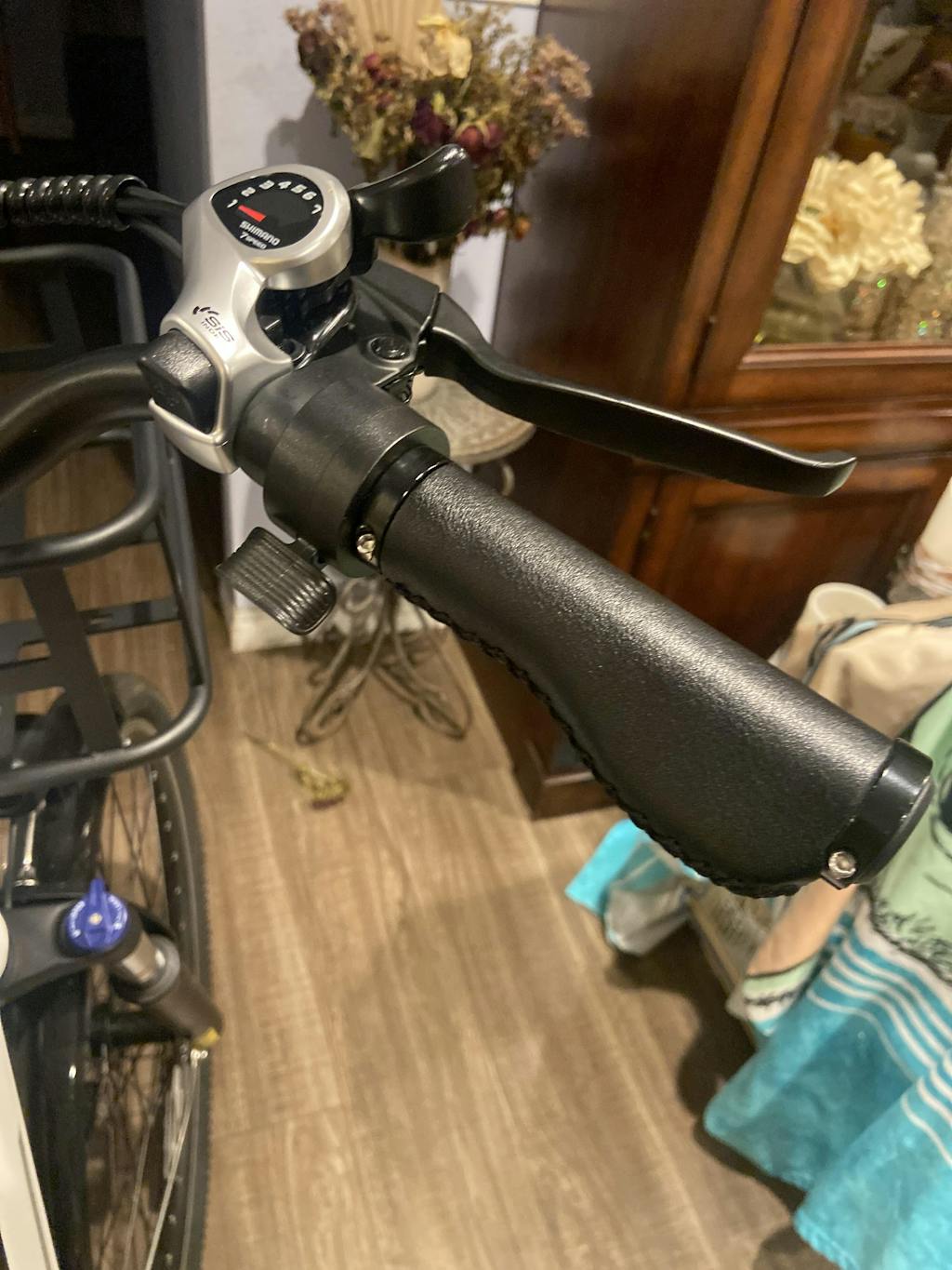 Jasion Bike | EB5 Roamer Electric Bike