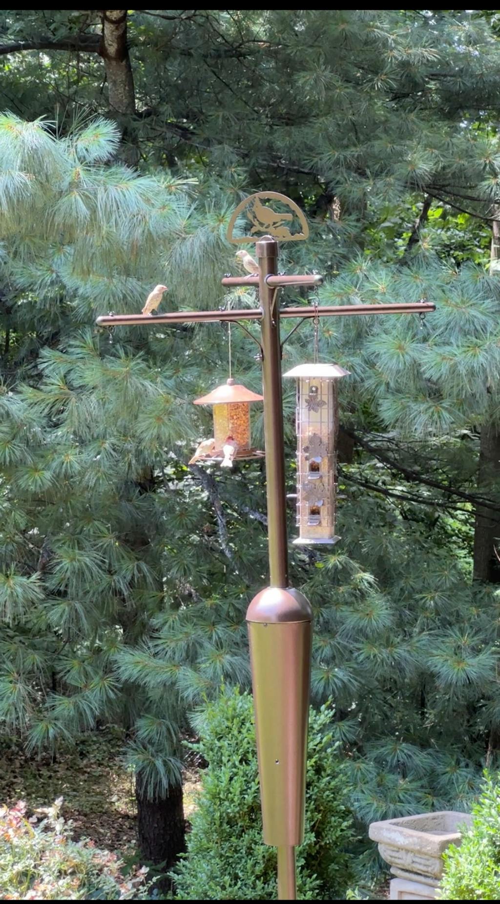 Squirrel Stopper Deluxe Squirrel Proof Pole System – JCS Wildlife