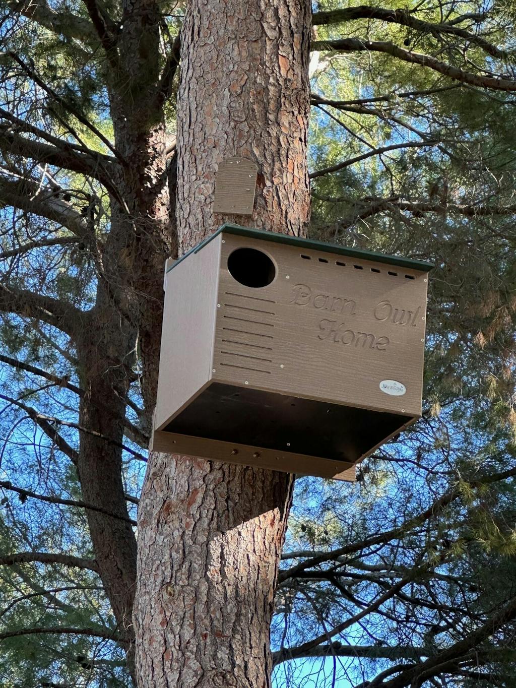 JCs Wildlife Poly Barn Owl Nesting Box | Made in USA