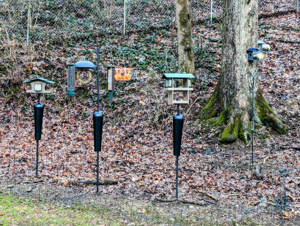 Squirrel Stopper Denali Squirrel Proof Mounting Pole System – JCS Wildlife