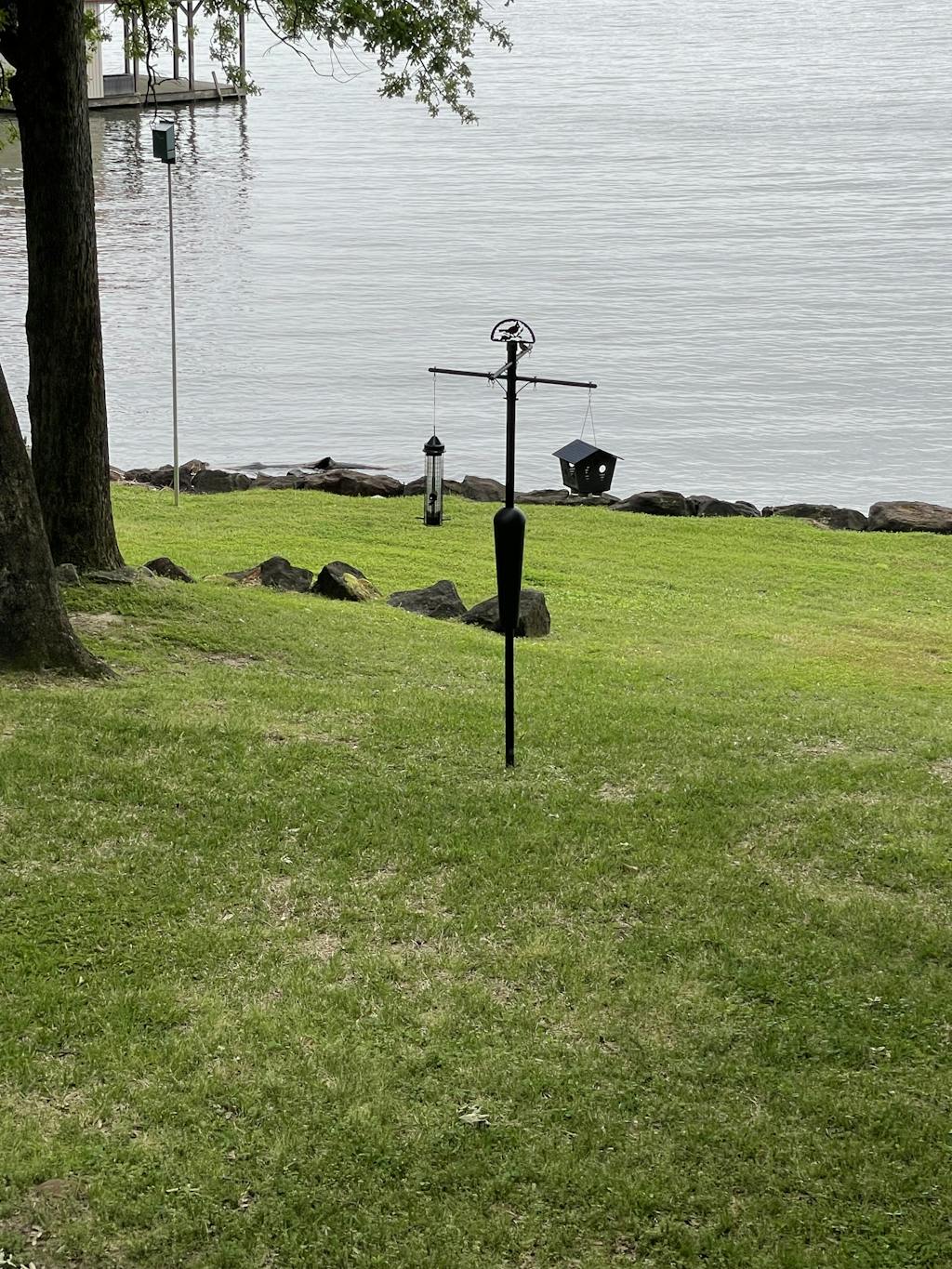 Squirrel Stopper Deluxe Squirrel Proof Pole System – JCS Wildlife