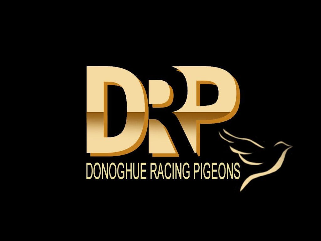 Endocox Powder for Coccidiosis: Effective Bird Parasite Treatment