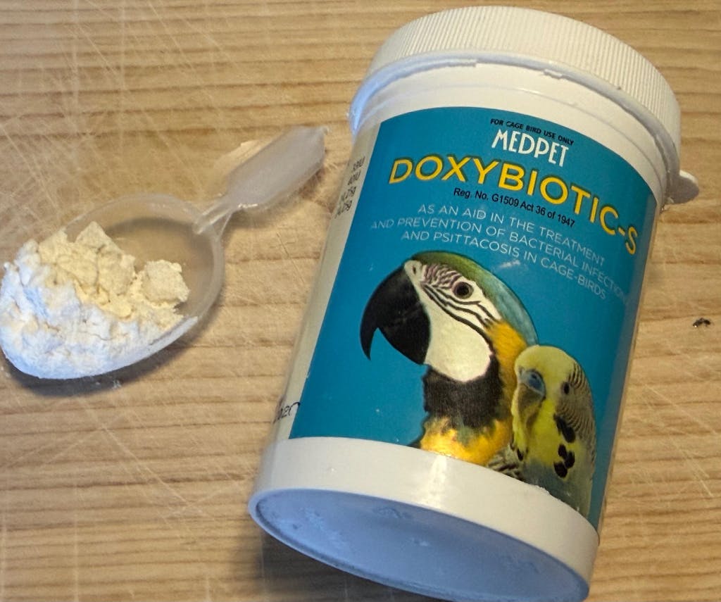 Effective Bird Treatment: Enrofloxacin 10% - Fight Infections