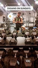 The Ultimate Push Pull Legs System – Jeff Nippard Fitness